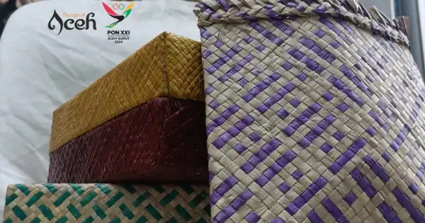 Anyaman Tikar Pandan Khas Kota Langsa, Warisan Indatu Yang Diminati ...