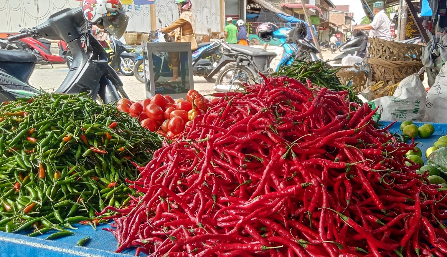 Harga Cabai Merah di Abdya Anjlok