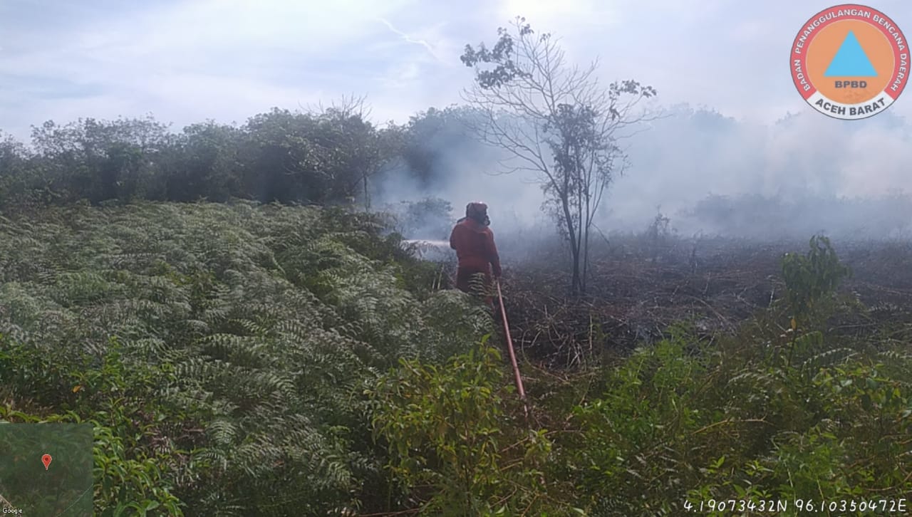 14 Hektare Lahan Gambut Aceh Barat Terbakar