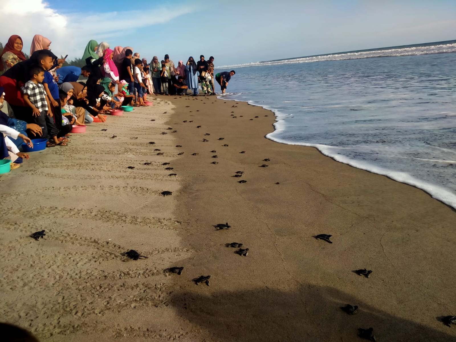 109 Tukir Dilepasliarkan di Kawasan Pantai Aceh Jaya