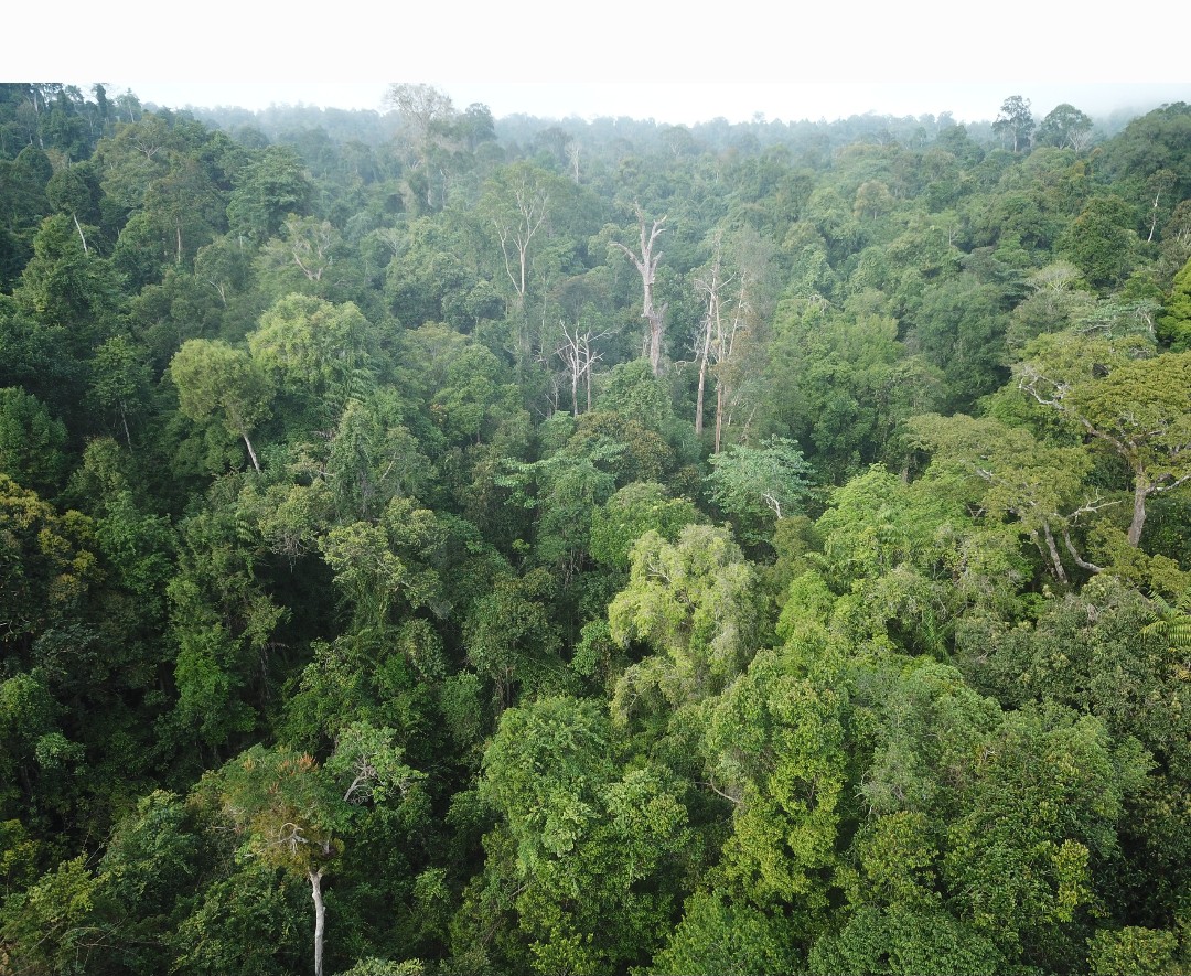 22 Ribu Hektar Lahan untuk Eks Kombatan GAM di Aceh Timur Dinilai ...