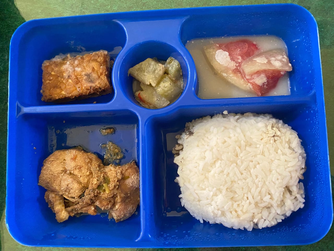 Porsi MBG Tertinggal Jadi Penyebab Berjamur dan Bau Busuk di Aceh Timur