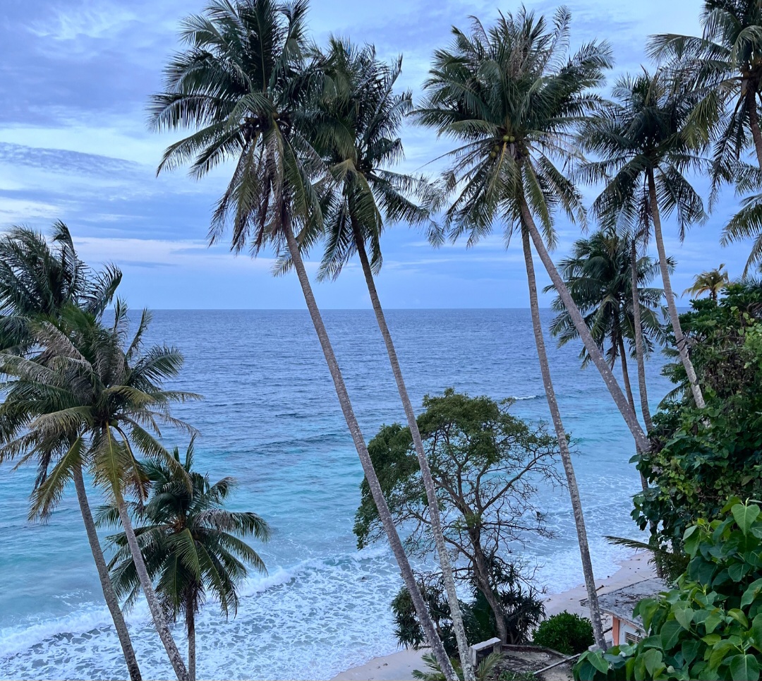 Pantai Sumur Tiga Tawarkan Gradasi Laut Memukau dan Rindangnya Pohon ...